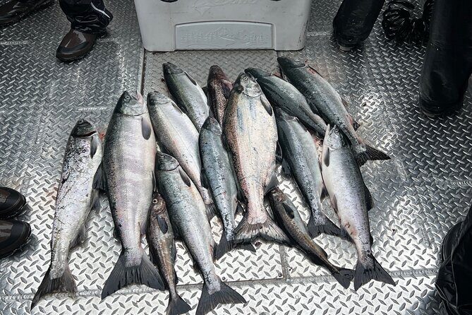 Private Ketchikan Wild Alaskan Salmon Fishing Trip - What Makes This Tour Stand Out
