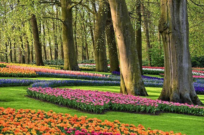 Private Keukenhof, Gardens, Windmills, cheese tour from Amsterdam - Exploring the Holland Highlights: A Comprehensive Review of the Private Keukenhof, Gardens, Windmills, and Cheese Tour