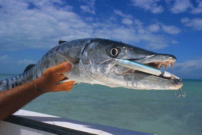 Private Key West Fishing & Sandbar or Snorkel Charter - Key West Private Fishing & Snorkel/Sandbar Charter: A Practical Dive into Ocean Fun