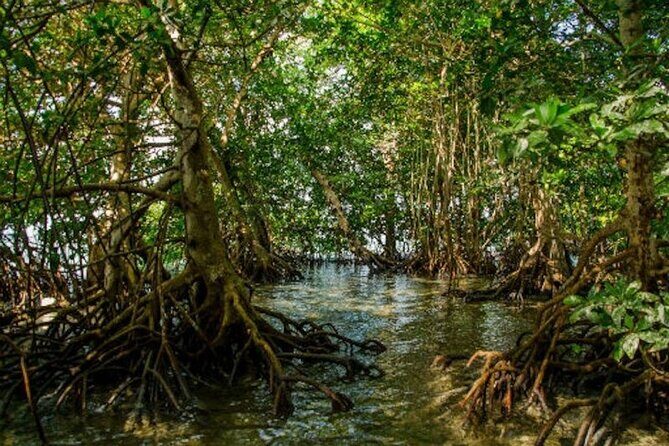 Private Key West National Wildlife Refuge Eco Trip - Who Will Enjoy This Tour?