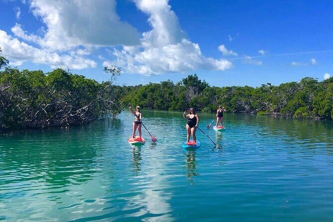 Private Key West Sandbar and Paddle by Boat - Deep Dive into the Experience