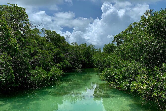 Private Key West Sandbar and Paddle by Boat - Who Will Love This Tour?