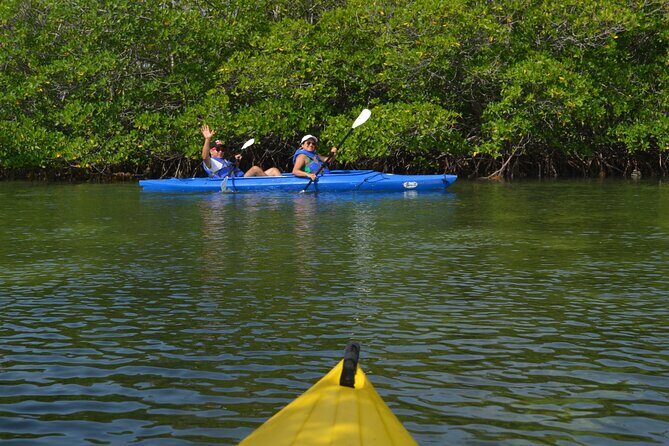 Private Key West Sandbar and Paddle by Boat - Final Thoughts: Is It Worth It?