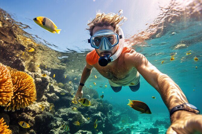 Private Key West Snorkeling Adventure - Why Choose This Key West Snorkeling Tour?