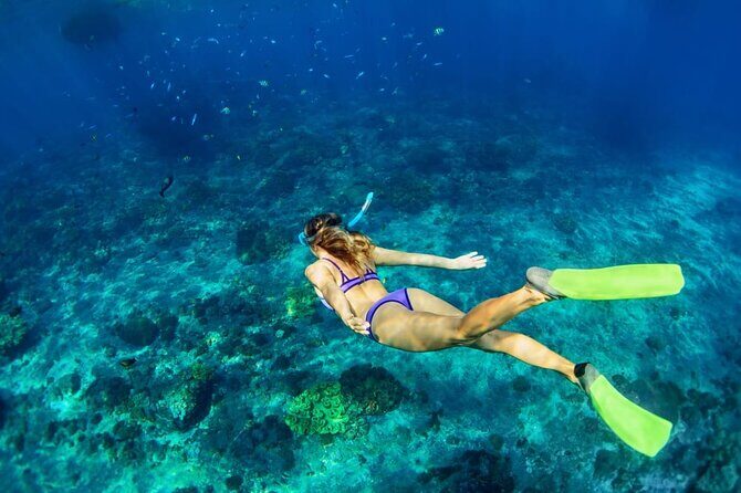 Private Key West Snorkeling Adventure - Who Should Book This Tour?