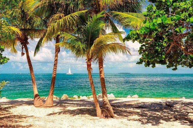 Private Key West Tour in a Small Group From Miami - The Return Journey and Practical Details