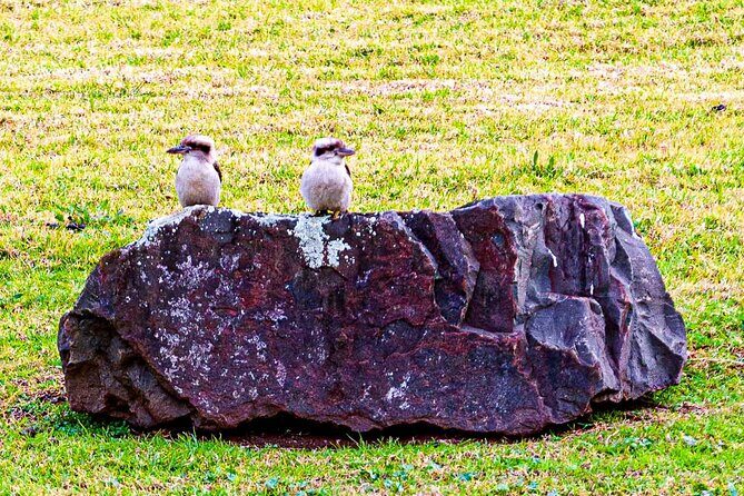 Private Kiama, Kangaroo Valley & Southern Highlands Escape - Who Will Love This Tour