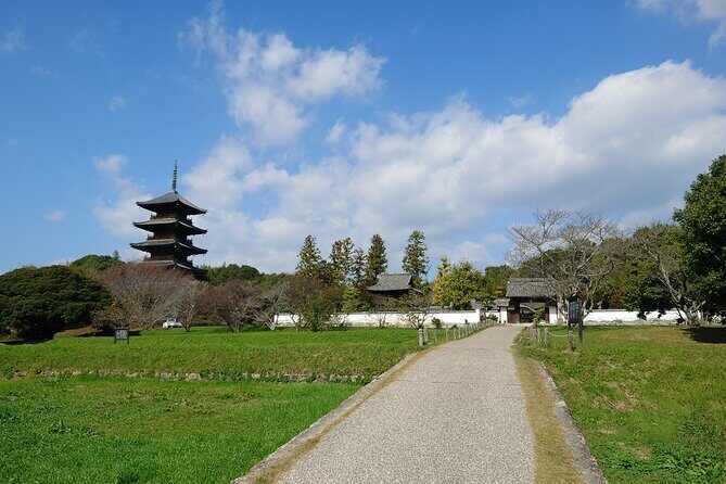 Private KIBI Cycling + Local Ramen Tour with a licensed guide - Local Ramen: Tasting Soja’s Flavors