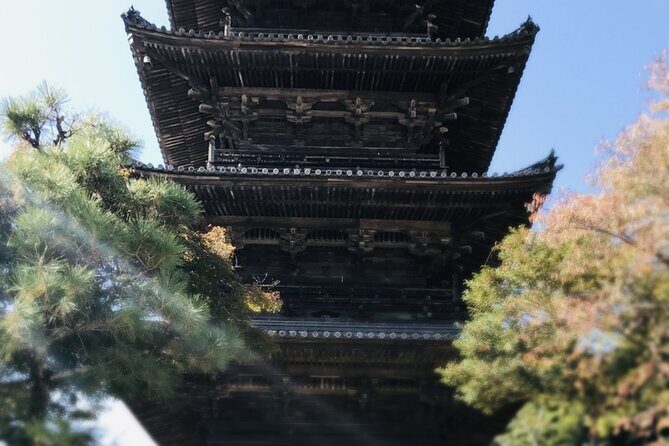Private KIBI Cycling + Local Ramen Tour with a licensed guide - Who Will Love This Tour?