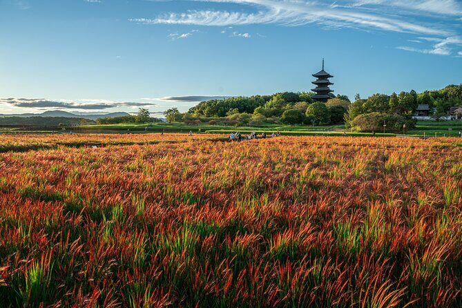 Private KIBI Cycling + Local Ramen Tour with a licensed guide - The Sum Up