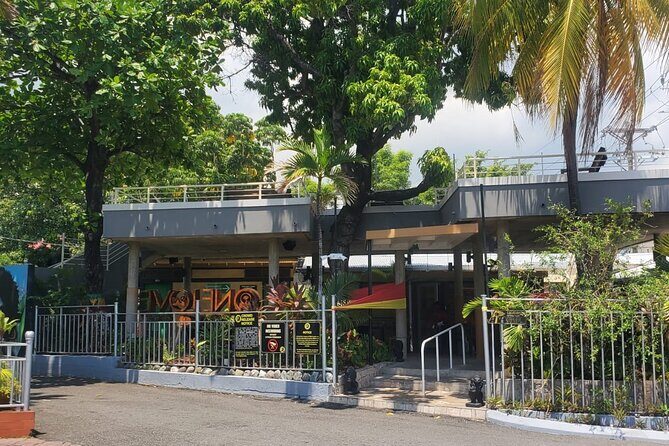 Private Kingston and Bob Marley Museum Tour from Falmouth - What the Tour Offers