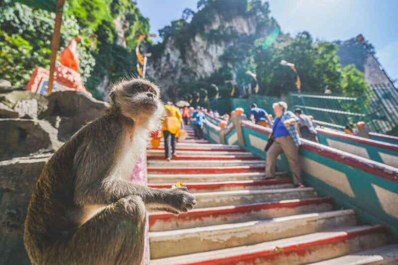 Private KL City Tour with Petronas Twin Towers & Batu Caves - An In-Depth Look at the Tour Experience