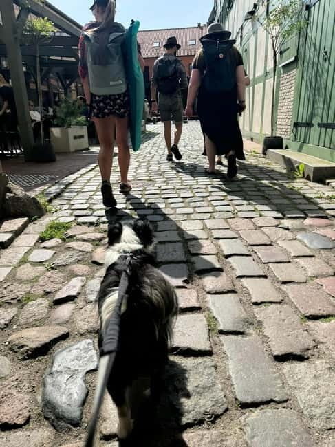 Private Klaipeda Old Town Tour - the lost city of Memel - Who Is This Tour Best For?