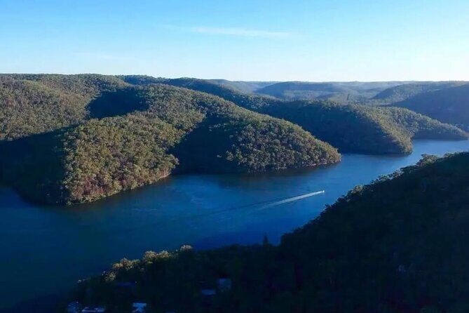 Private Koala Park Sanctuary Minivan Tour Sydney - Key Points