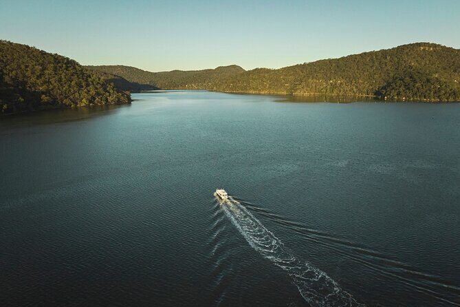 Private Koala Park Sanctuary Minivan Tour Sydney - A Practical Overview of the Tour Experience