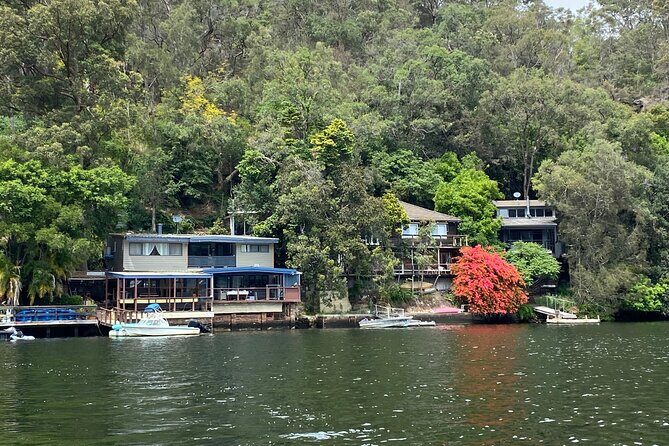 Private Koala Park Sanctuary Minivan Tour Sydney - Final Thoughts