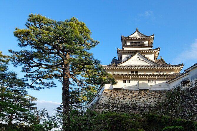 Private Kochi Shore Excursion - An In-Depth Look at What the Tour Offers