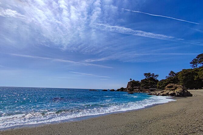 Private Kochi Shore Excursion - Frequently Asked Questions