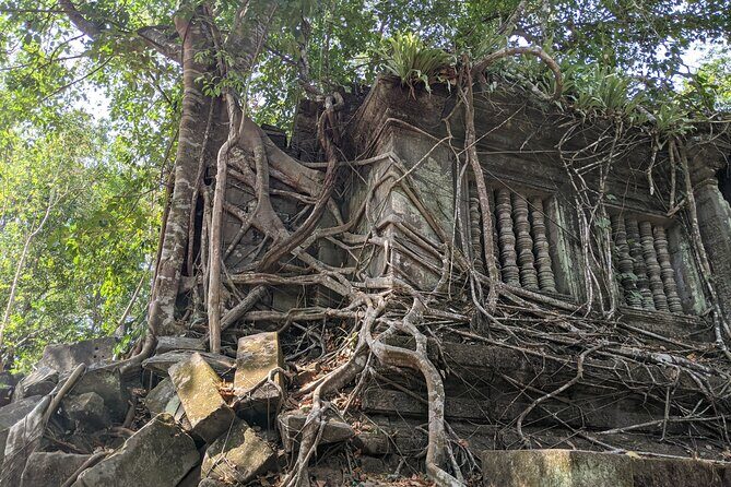 Private Koh Ker Temples Park & Beng Mealea Tour - The Sum Up
