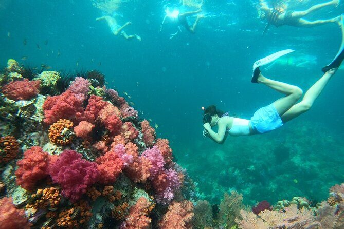 Private Koh Lipe Inner Zone Snorkeling Tour by Longtail Boat - The Sum Up