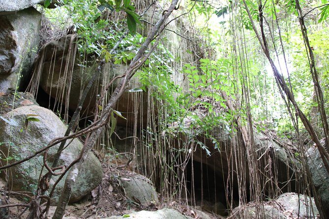Private Koh Phangan Land Tour - Who Is This Tour Best For?