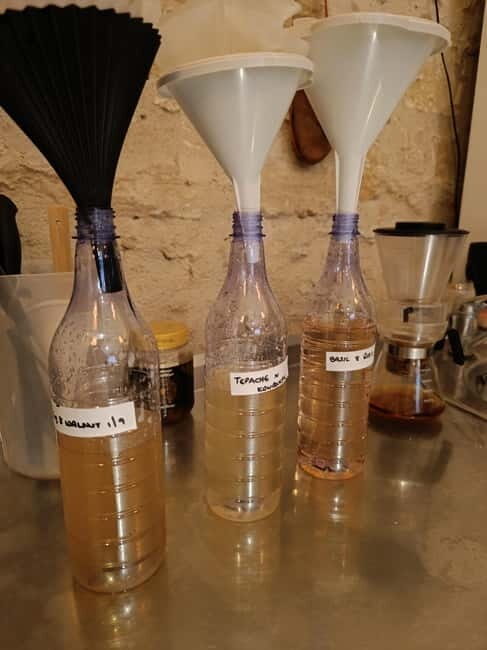 Private Kombucha Making Workshop in Cyprus - Authenticity and Traveler Insights