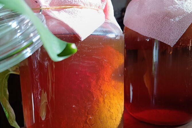 Private Kombucha Making Workshop in Cyprus - Practical Tips for Participants