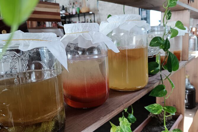 Private Kombucha Making Workshop in Cyprus - The Sum Up: Is This Workshop Worth It?