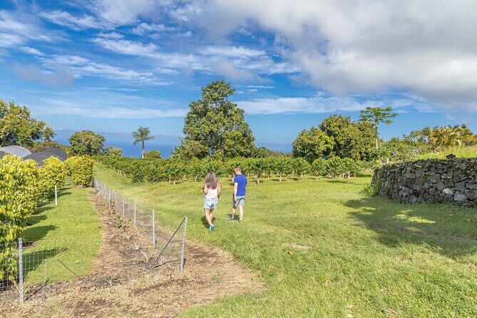 Private Kona Coffee and National Historic Parks Tour - The Itinerary: What You’ll Experience