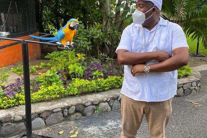 Private Konoko Falls and Dunn's River Combo Tour from Ocho Rios - An In-Depth Look at the Tour Itinerary