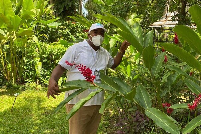 Private Konoko Falls and Dunn's River Combo Tour from Ocho Rios - Final Thoughts