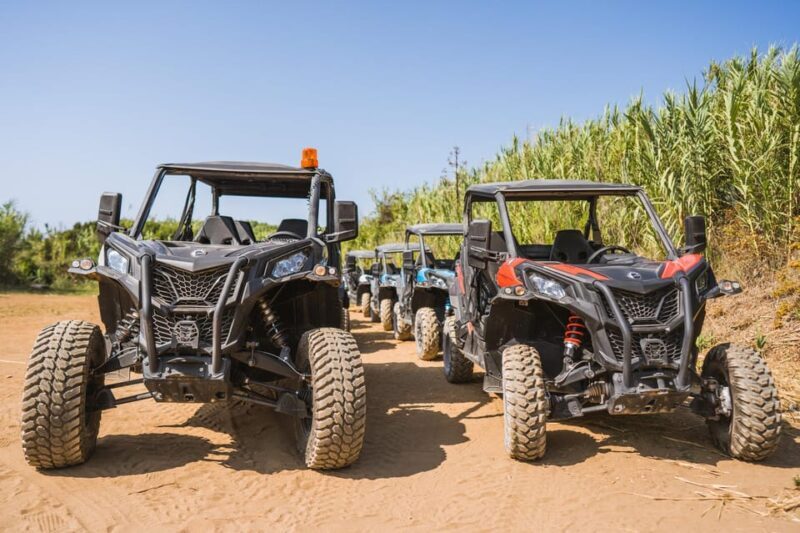 Private Korcula Buggy Safari With Wine Tasting - The Real Experience: What Travelers Say