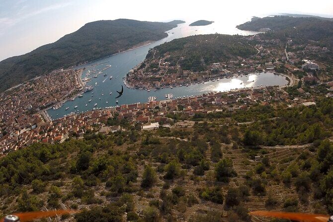Private Korcula Eco Tour with Guide - Exploring Korcula Beyond the Beaches: A Deep Dive into the Eco Tour
