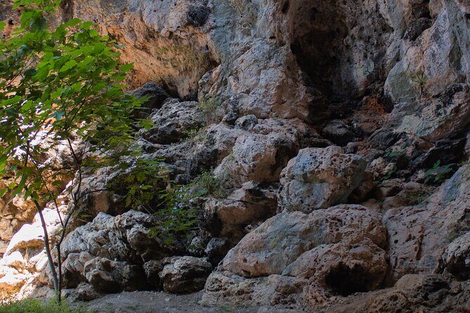 Private Korcula Eco Tour with Guide - Authenticity & Local Connection