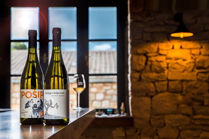 Private Korcula wine tour and tasting - Who Will Love This Tour?