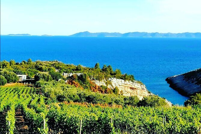 Private Korcula wine tour and tasting - Final Thoughts