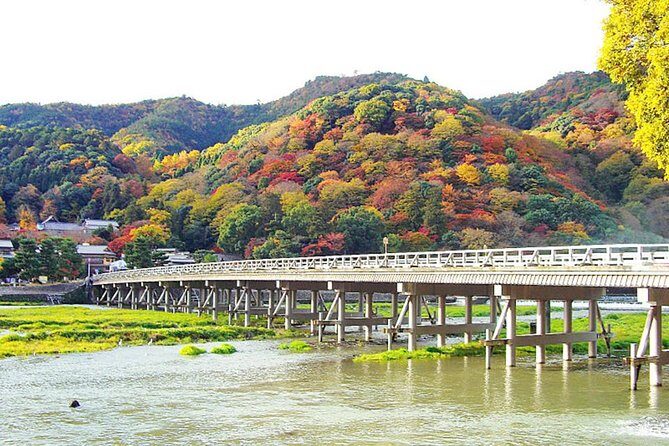Private Kyoto Arashiyama Custom Half-Day Tour by Chartered Vehicle - The Sum Up: Who Is This Tour Best For?