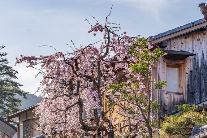 Private Kyoto Customizable Day Tour With English Guide - In-Depth Look at the Itinerary