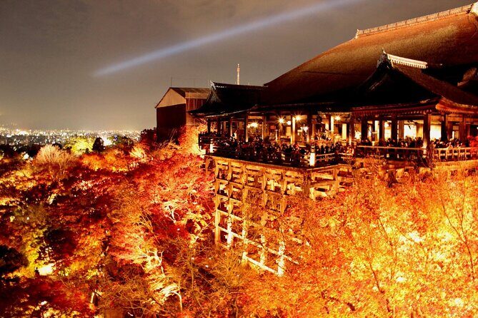 Private Kyoto Day Trip with English Speaking Driver - The Practical Aspects