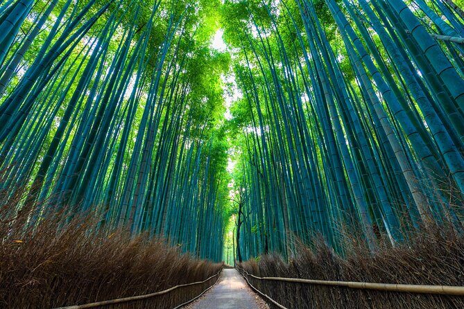 Private Kyoto Day Trip with English Speaking Driver - Who Will Love This Tour?