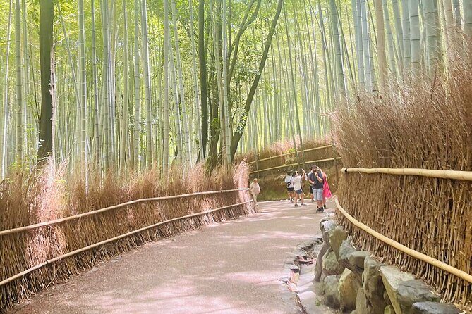 Private Kyoto Nara Customized Day Tour With English Guide & Veh - Final Thoughts