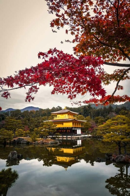 Private Kyoto & Nara Day Tour with English Driver GuideBEST - FAQ