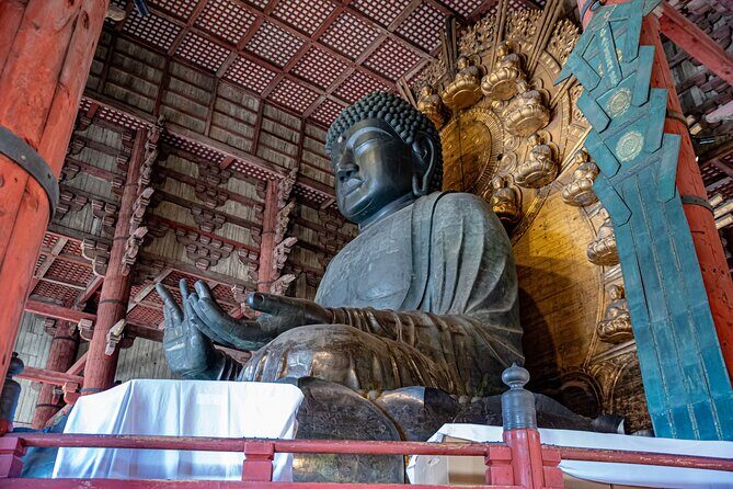 Private Kyoto Nara Tour by Car with Deer, Buddha and More - Key Points