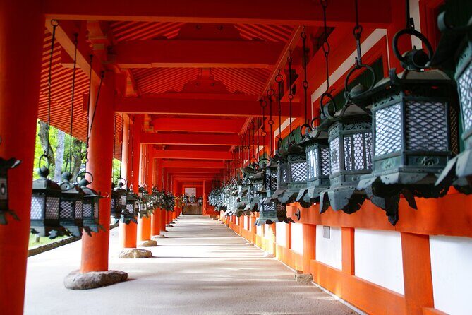 Private Kyoto Nara Tour by Car with Deer, Buddha and More - Why This Tour Gets Rave Reviews