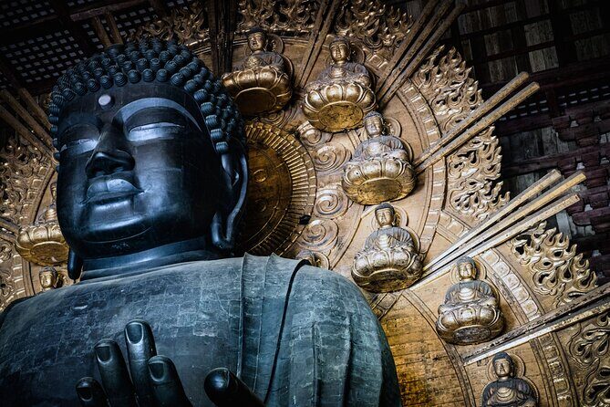 Private Kyoto Nara Tour by Car with Deer, Buddha and More - Final Thoughts