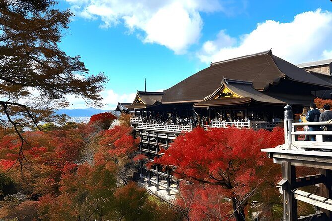 Private Kyoto Sightseeing Tour with Licensed Green-Plate Vehicle - A Detailed Look at the Kyoto Private Tour