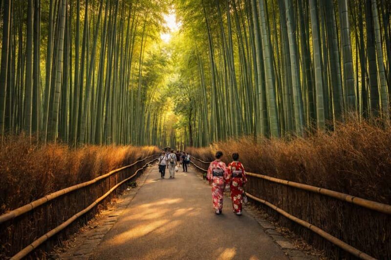 Private kyoto Tour with English speaking guide and vehicle - Detailing the Itinerary: Why It Matters