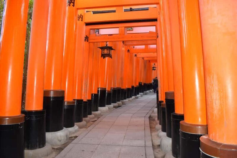 Private Kyoto Walk: Fushimi Inari, Kiyomizu-dera & Gion - Practical Tips for Your Tour