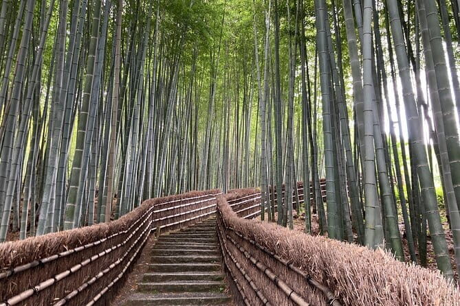 Private Kyoto with Exceptional Guide Tailored to Your Needs - An In-Depth Look at the Tour