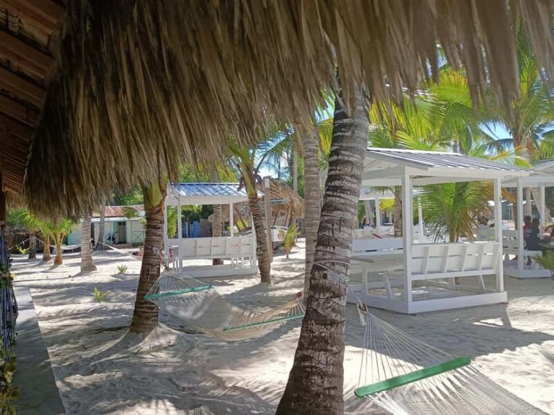 Private: La Romana, Catalina Island Snorkeling & Beach Trip - An In-Depth Look at the Catalina Island Experience